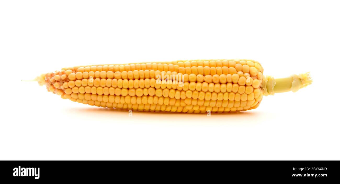 Husked corn Cut Out Stock Images & Pictures - Alamy