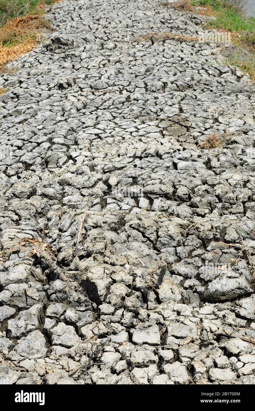 Arid areas hi-res stock photography and images - Alamy