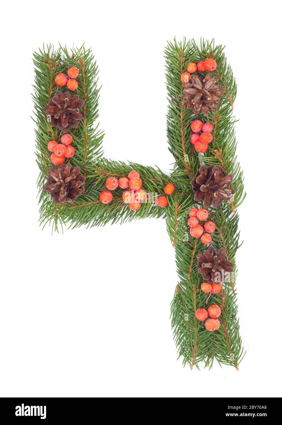 Fourth plant Cut Out Stock Images & Pictures - Alamy