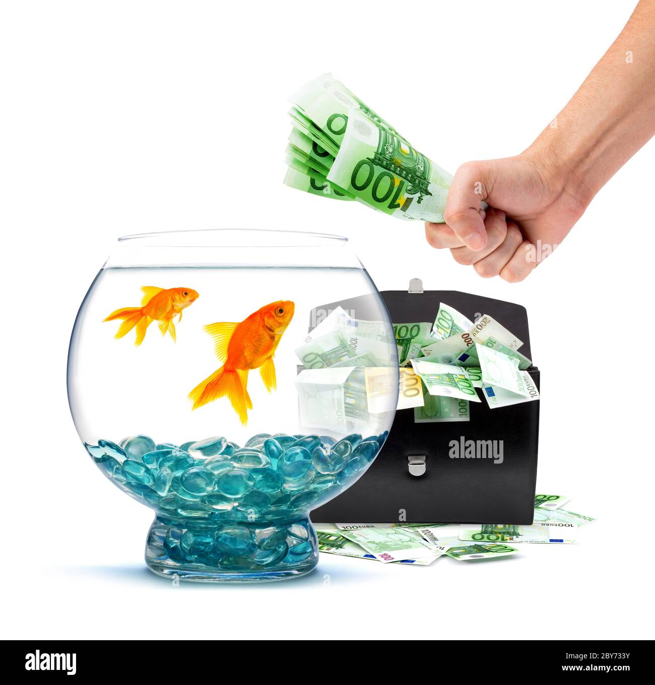 Goldfish money hi-res stock photography and images - Alamy