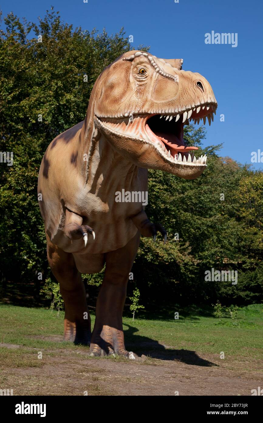Dinosaur head fighting hi-res stock photography and images - Alamy