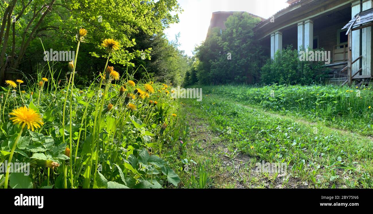 Grass bottom hi-res stock photography and images - Alamy