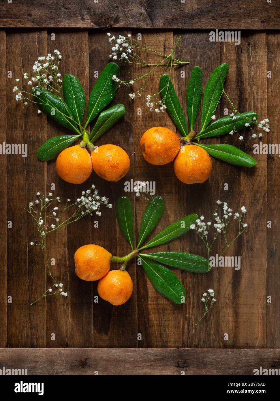 Medlar flowers photo hi-res stock photography and images - Alamy