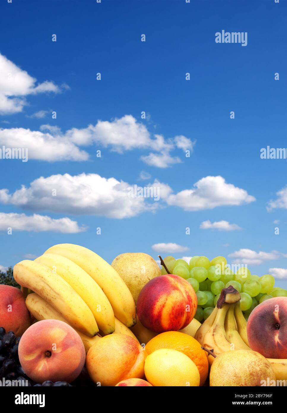 Studio shot lemon grass hi-res stock photography and images - Alamy