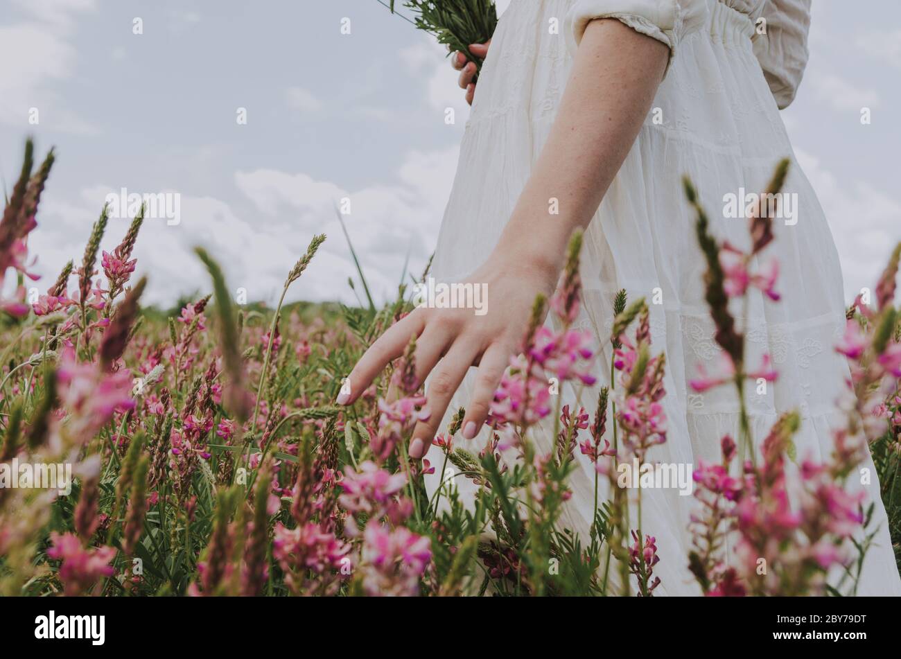 Hand of woman touching blossoming flowers in a flower field moody ...