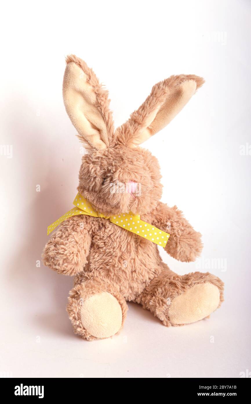 Rabbit plushie doll isolated on white background. Rabbit plush stuffed ...
