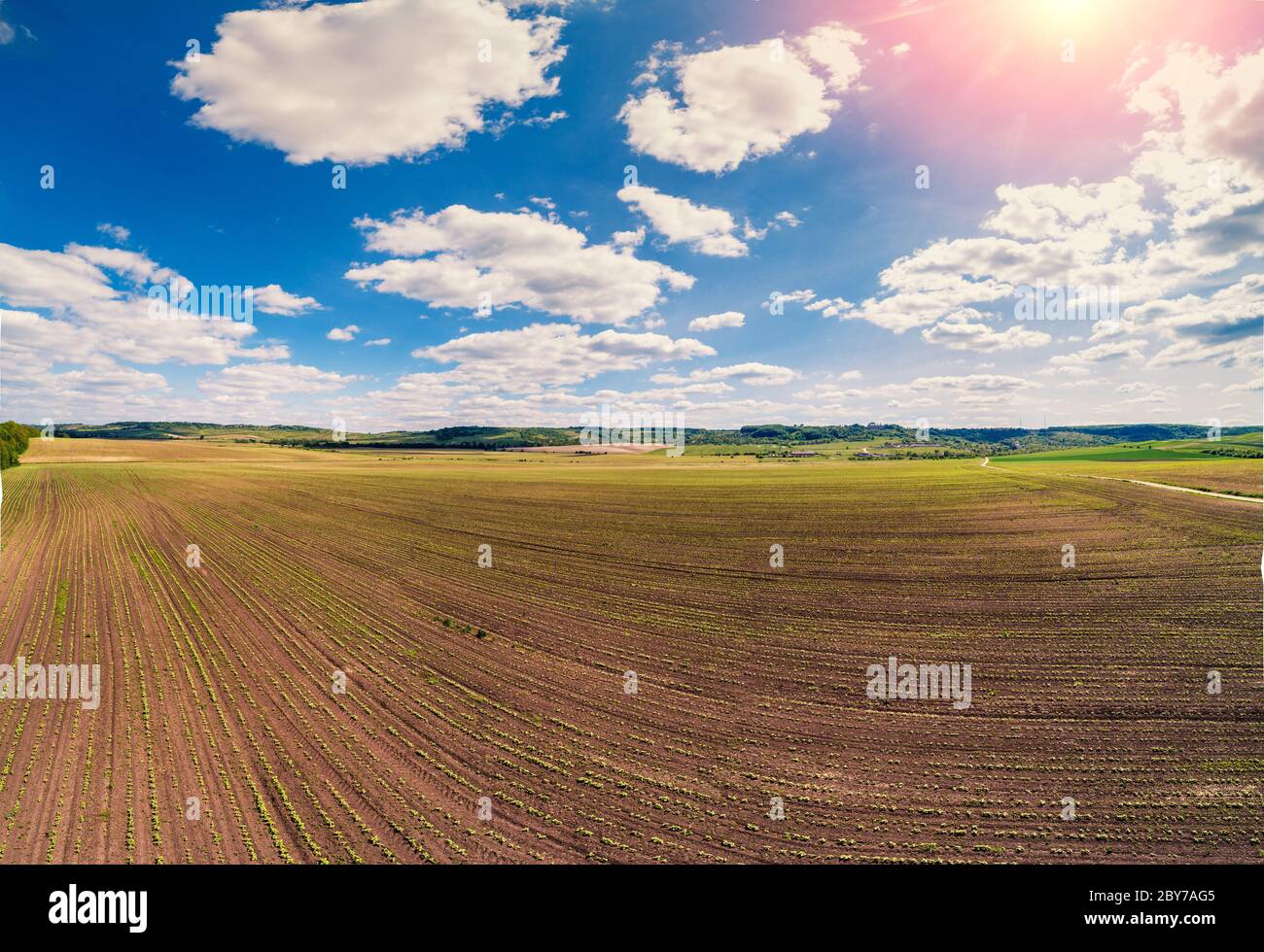 Field of sprout hi-res stock photography and images - Alamy