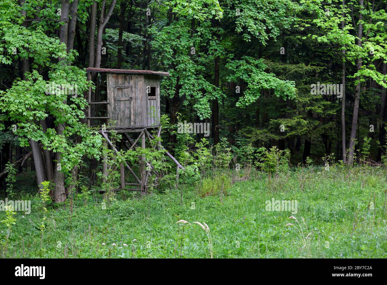 Hunter's turret at the edge of the forest from which hunters hunt ...