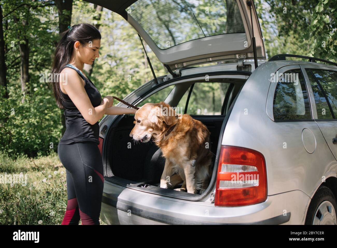 Woman letting dog outside from car trunk Stock Photo - Alamy