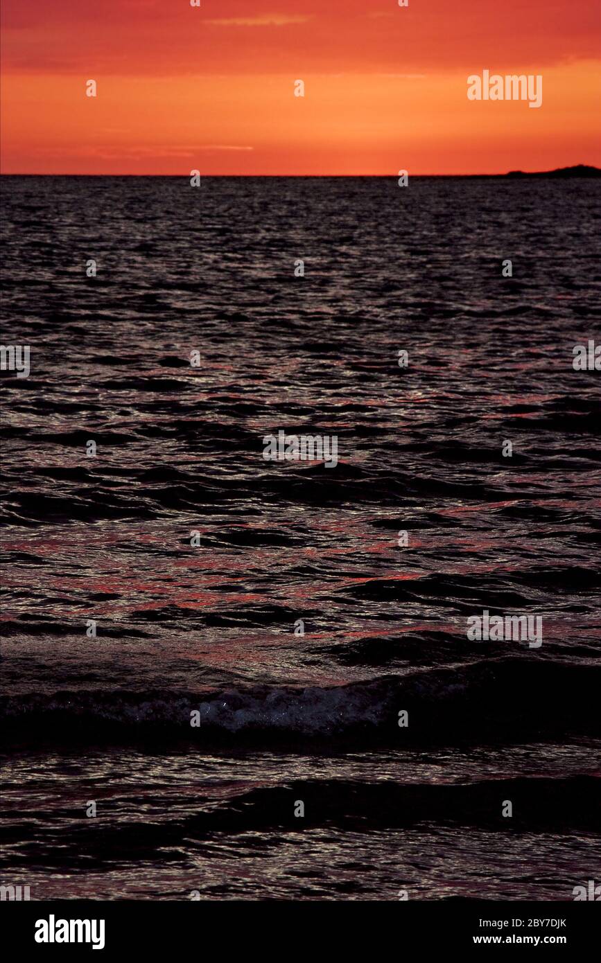 wave in the sunset Stock Photo - Alamy