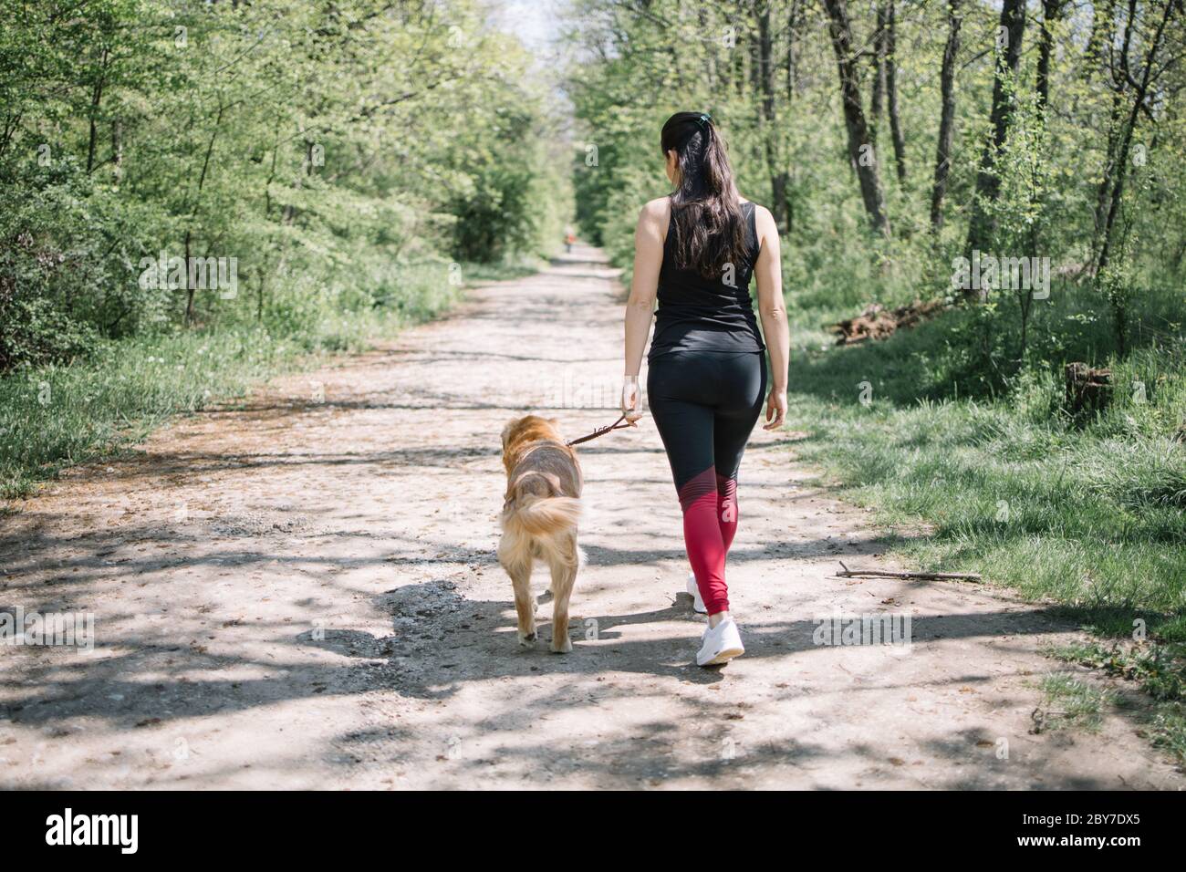 Girl walking on forest road with dog Stock Photo - Alamy
