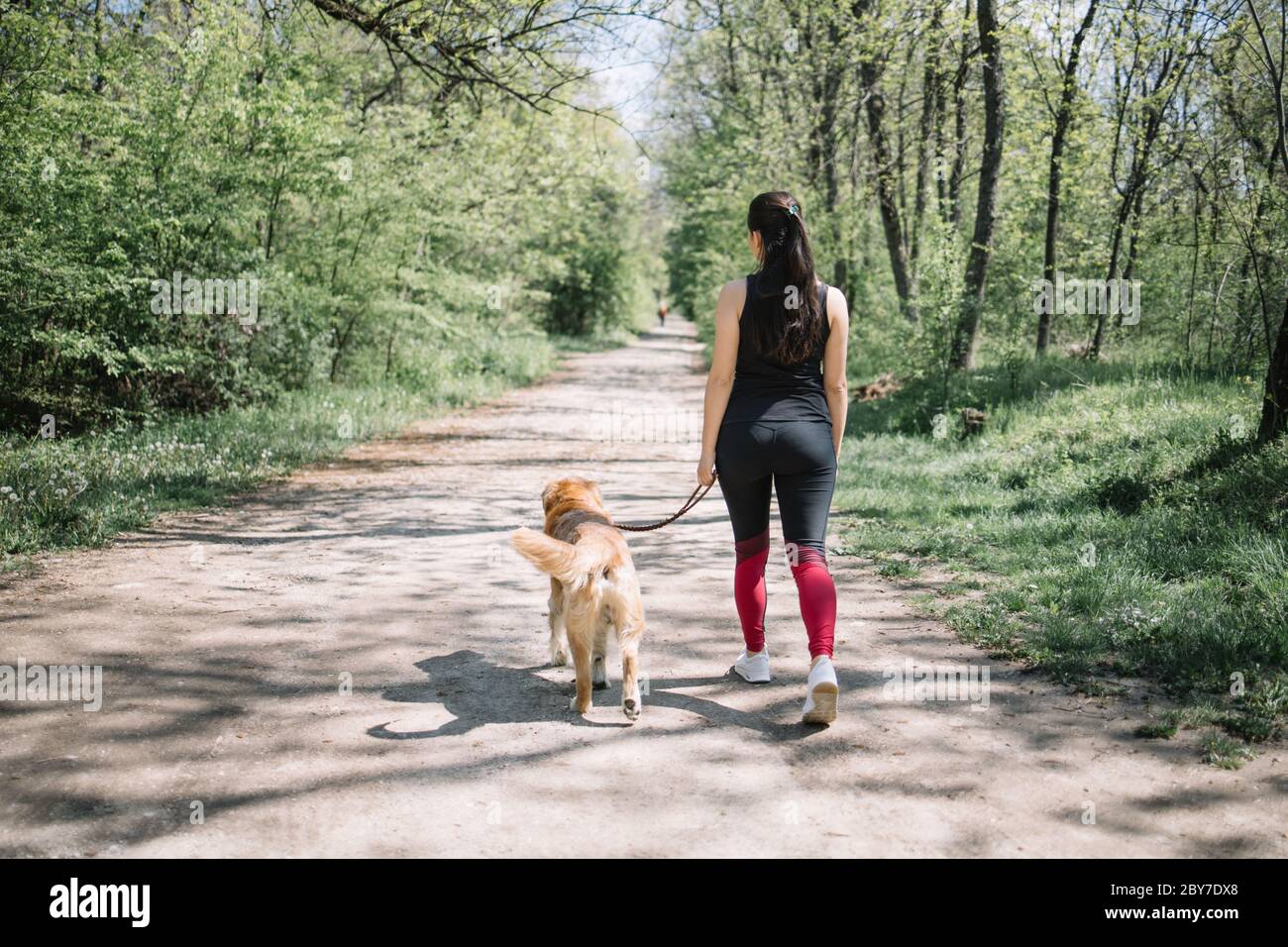 Back of girl with dog walking on forest route Stock Photo - Alamy