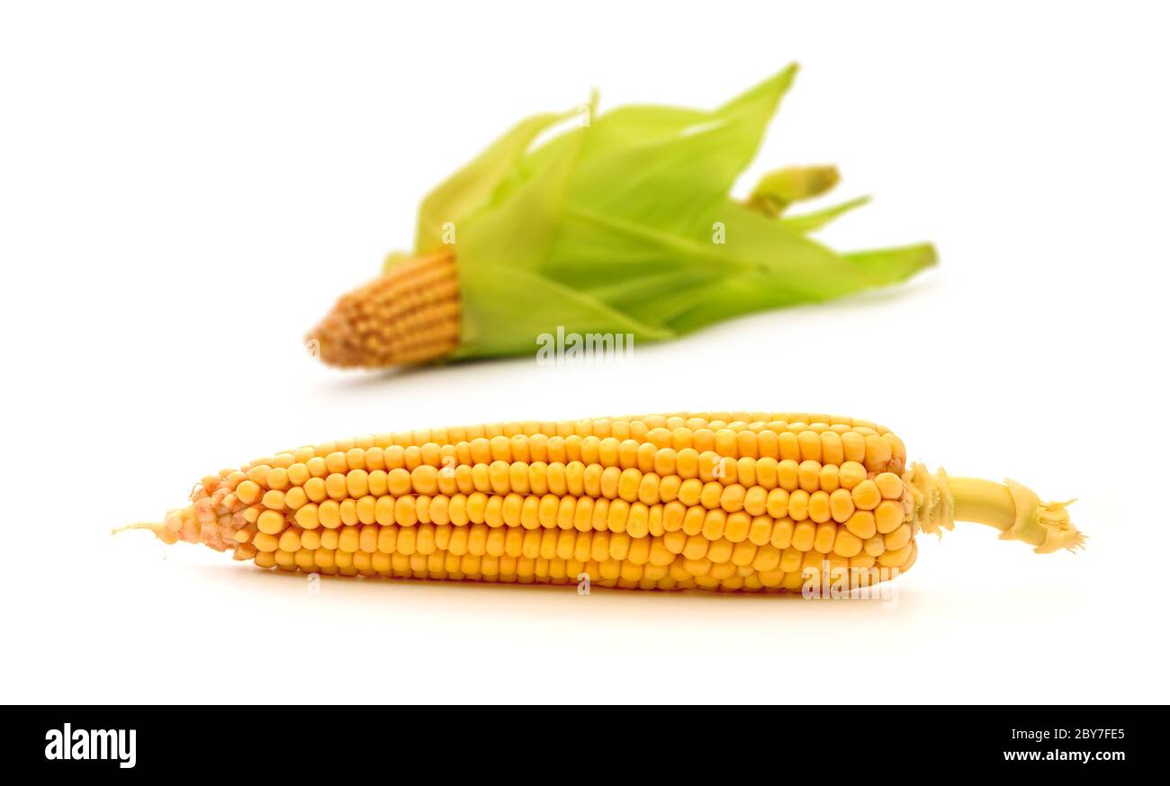 Husked corn Cut Out Stock Images & Pictures - Alamy