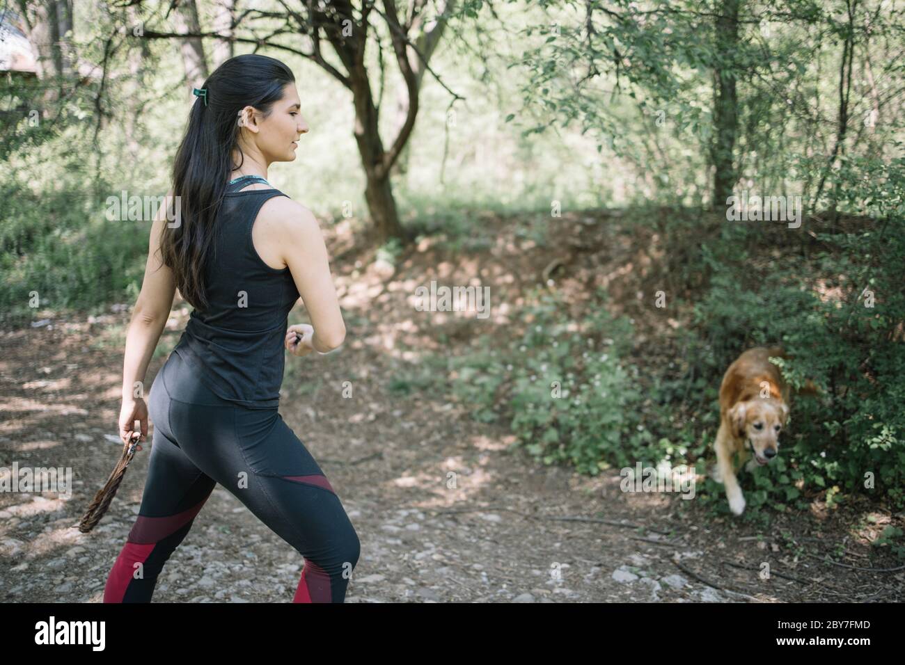 Girl throwing stick in nature for dog Stock Photo - Alamy