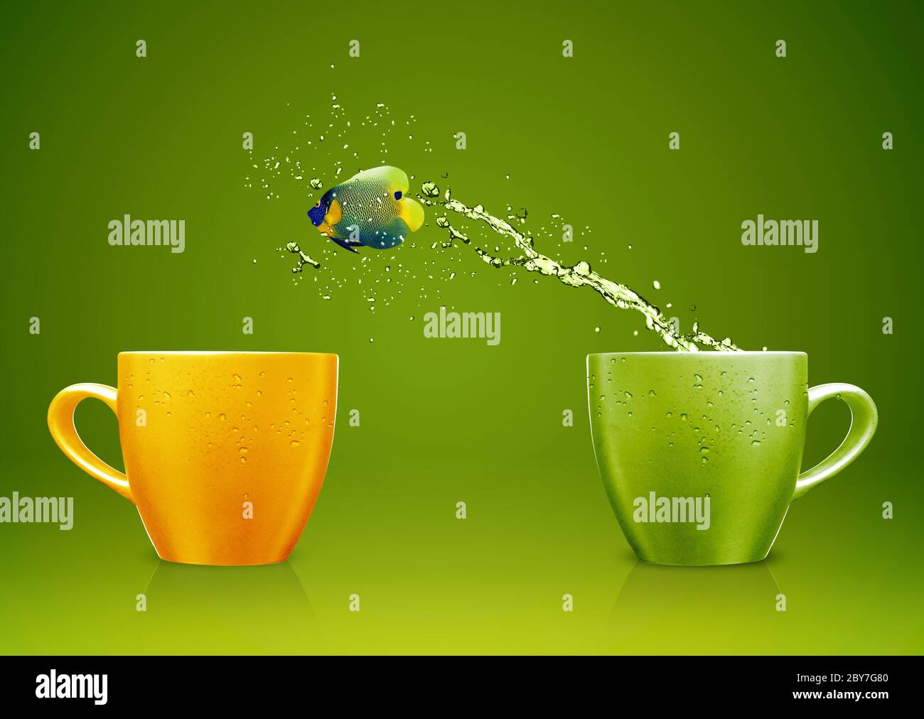 Cool fish hi-res stock photography and images - Alamy