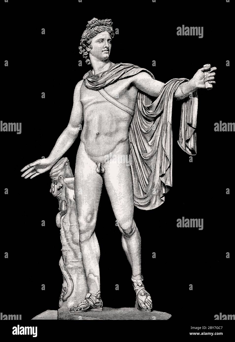 The Apollo of the Belvedere or Pythian Apollo, marble sculpture from Classical Antiquity Stock ...