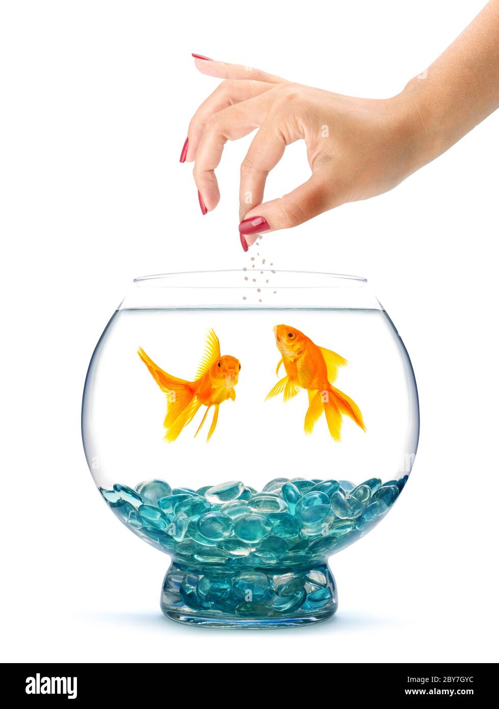 Goldfish bowl woman one hi-res stock photography and images - Alamy