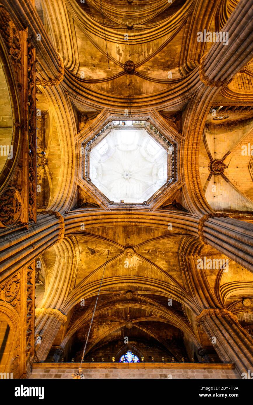 ceiling of gothic cathedral Stock Photo - Alamy
