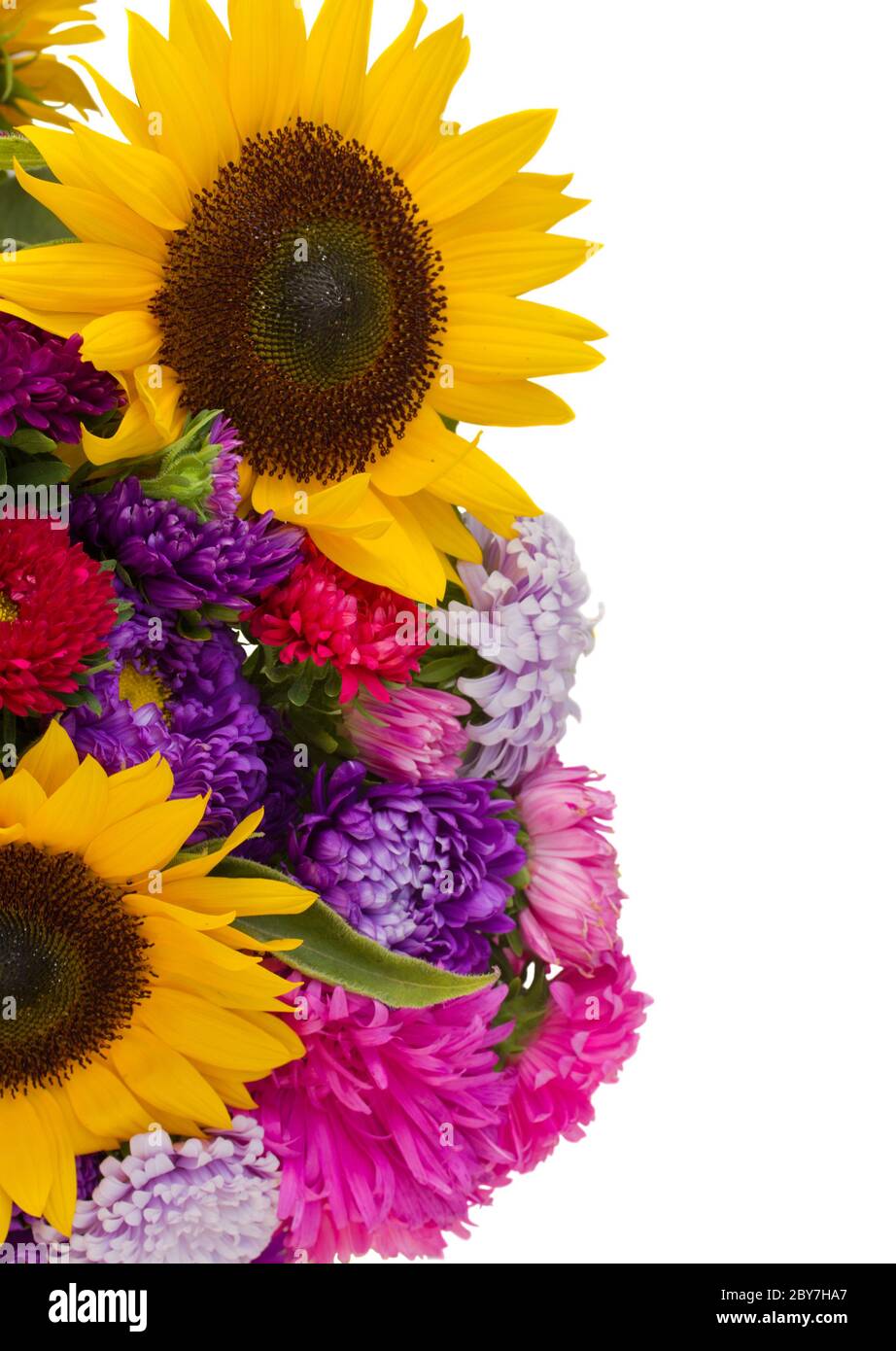 Rosy posy flowers hi-res stock photography and images - Alamy