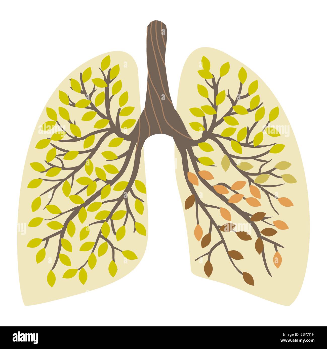 Human lungs, looking like a tree with green leaves, in one lung the ...
