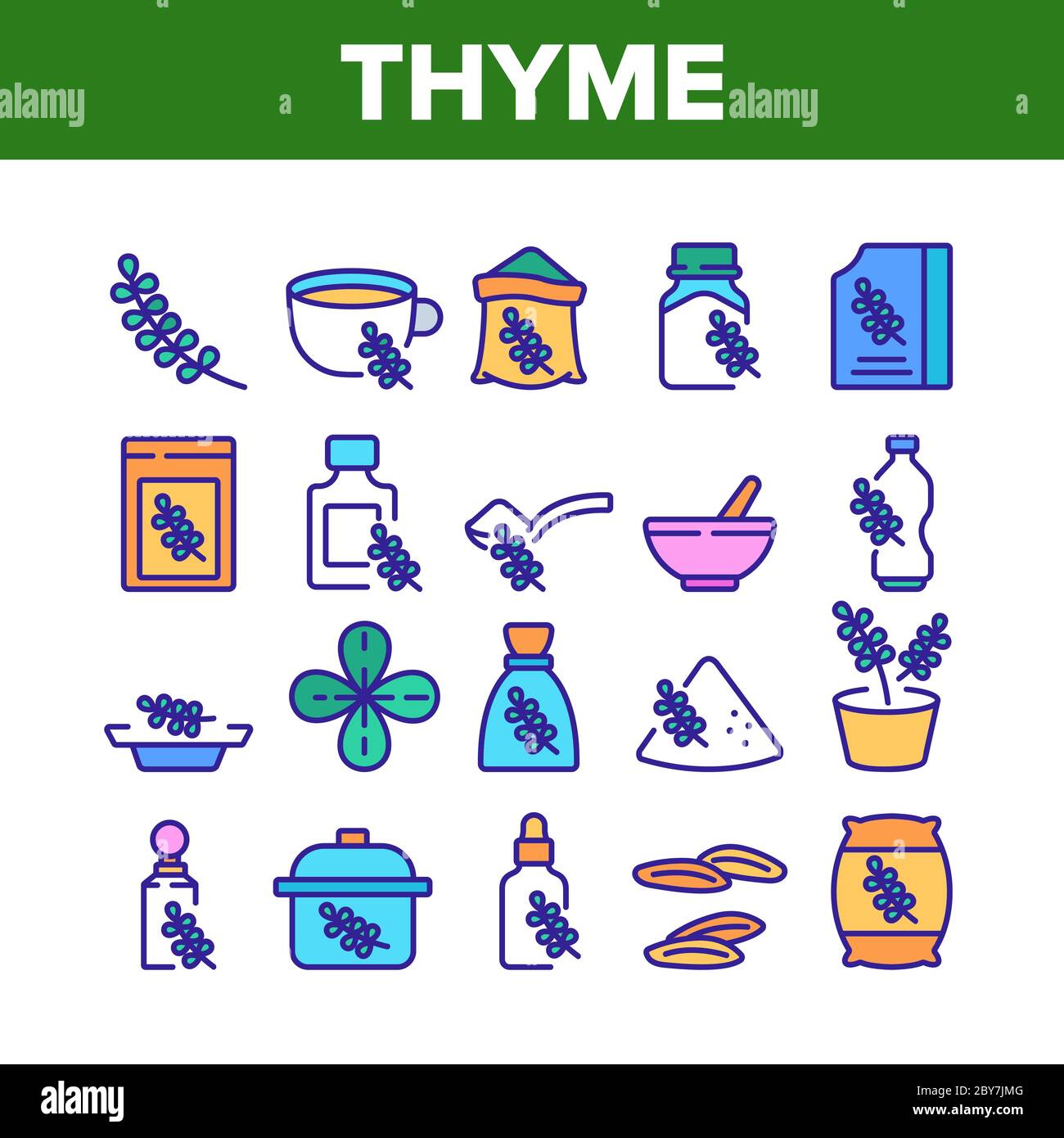 Thyme Plant Product Collection Icons Set Vector Stock Vector Image ...