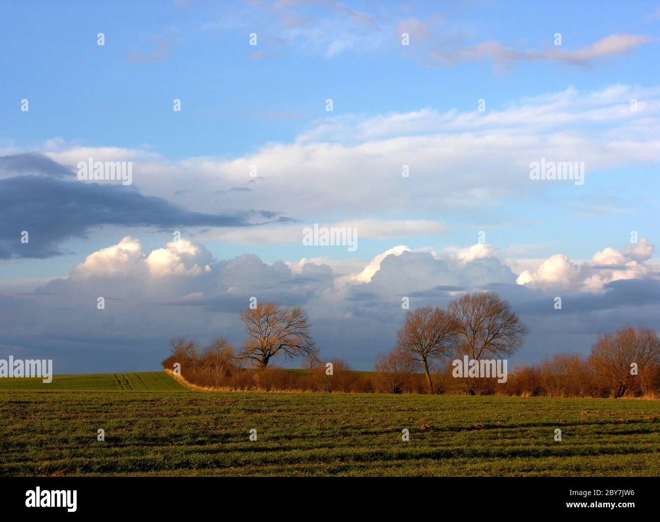 Field march hi-res stock photography and images - Alamy