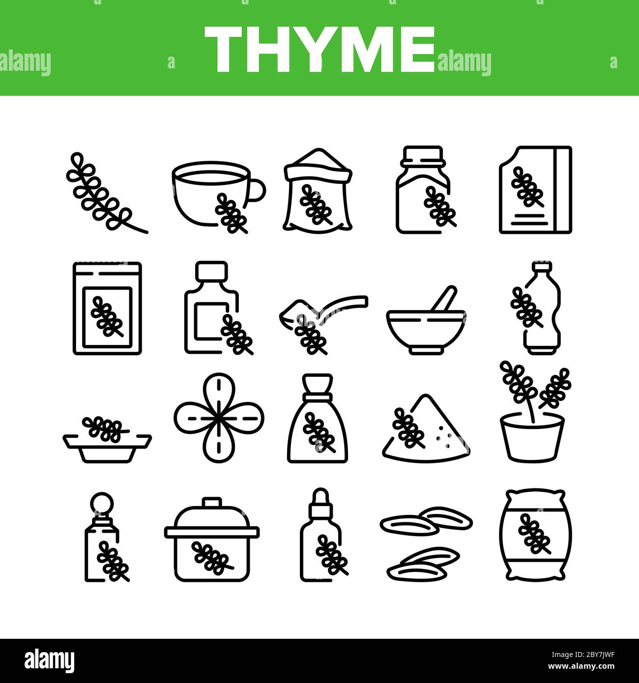 Thyme Plant Product Collection Icons Set Vector Stock Vector Image ...