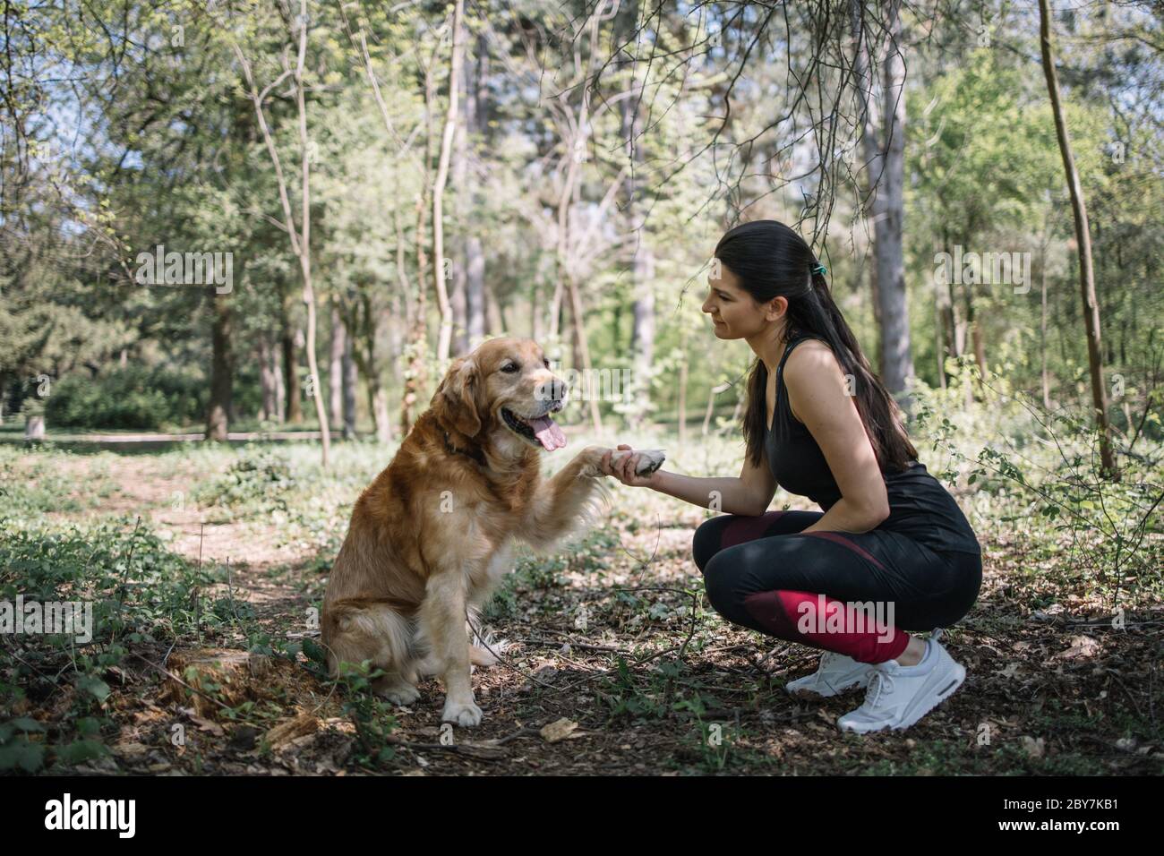 Dog giving a paw to squatting girl Stock Photo - Alamy