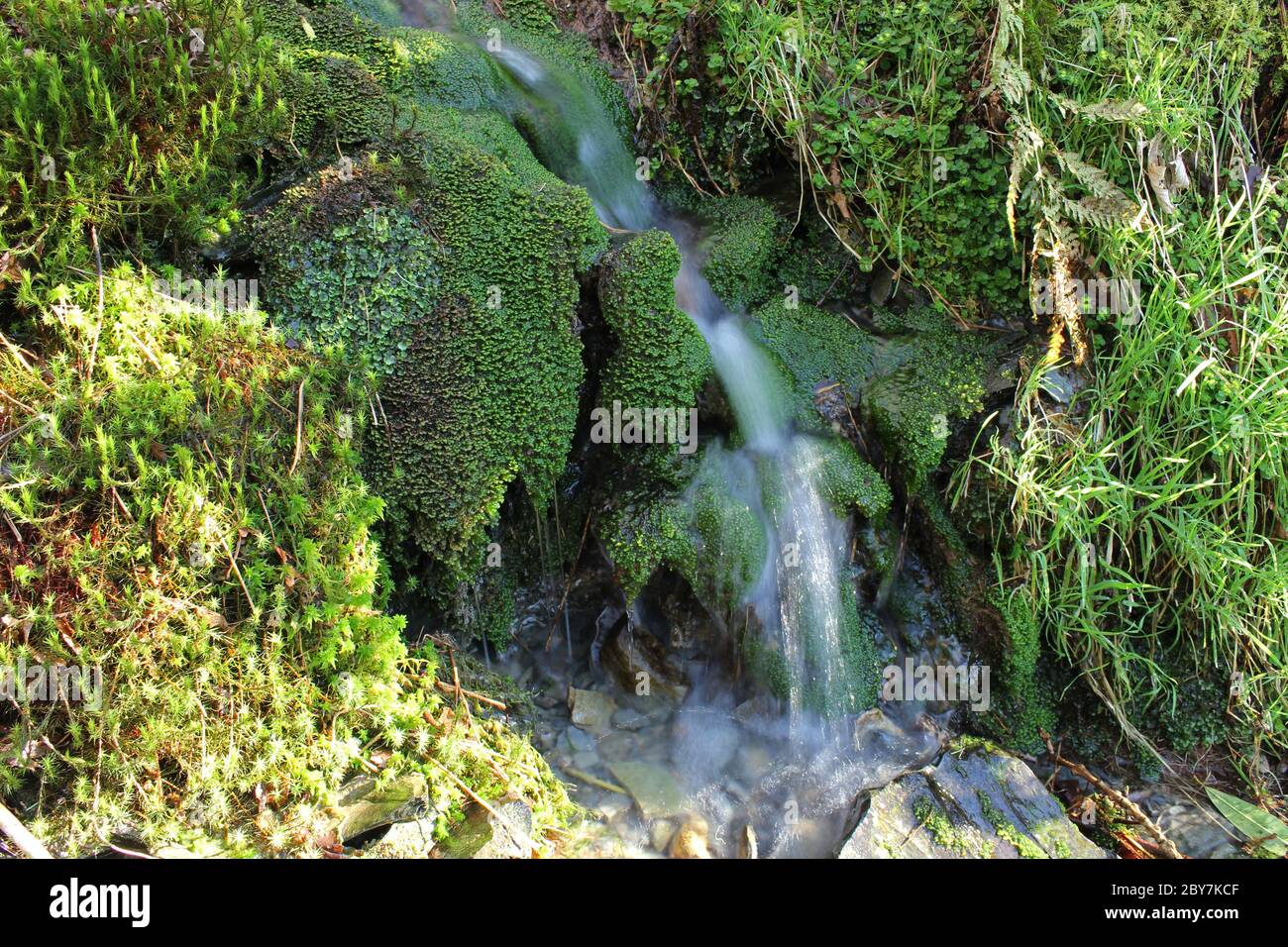 Small trickling waterfall hi-res stock photography and images - Alamy