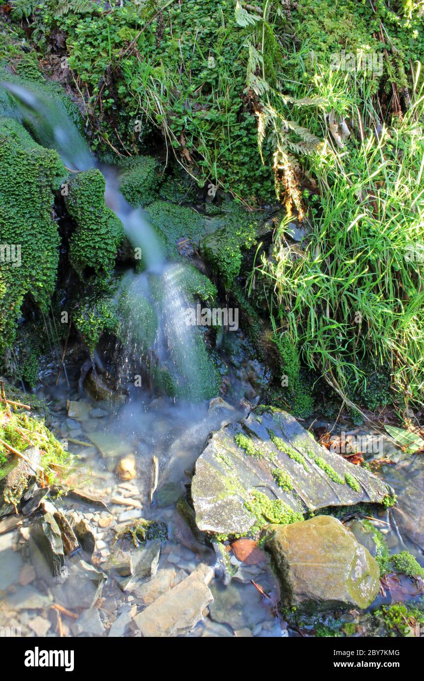 Small trickling waterfall hi-res stock photography and images - Alamy