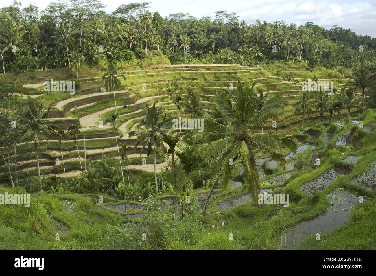 East texture hi-res stock photography and images - Alamy