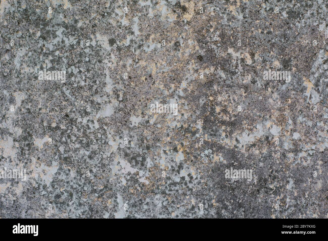 A texture texture of an old wall from an abandoned house Stock Photo ...