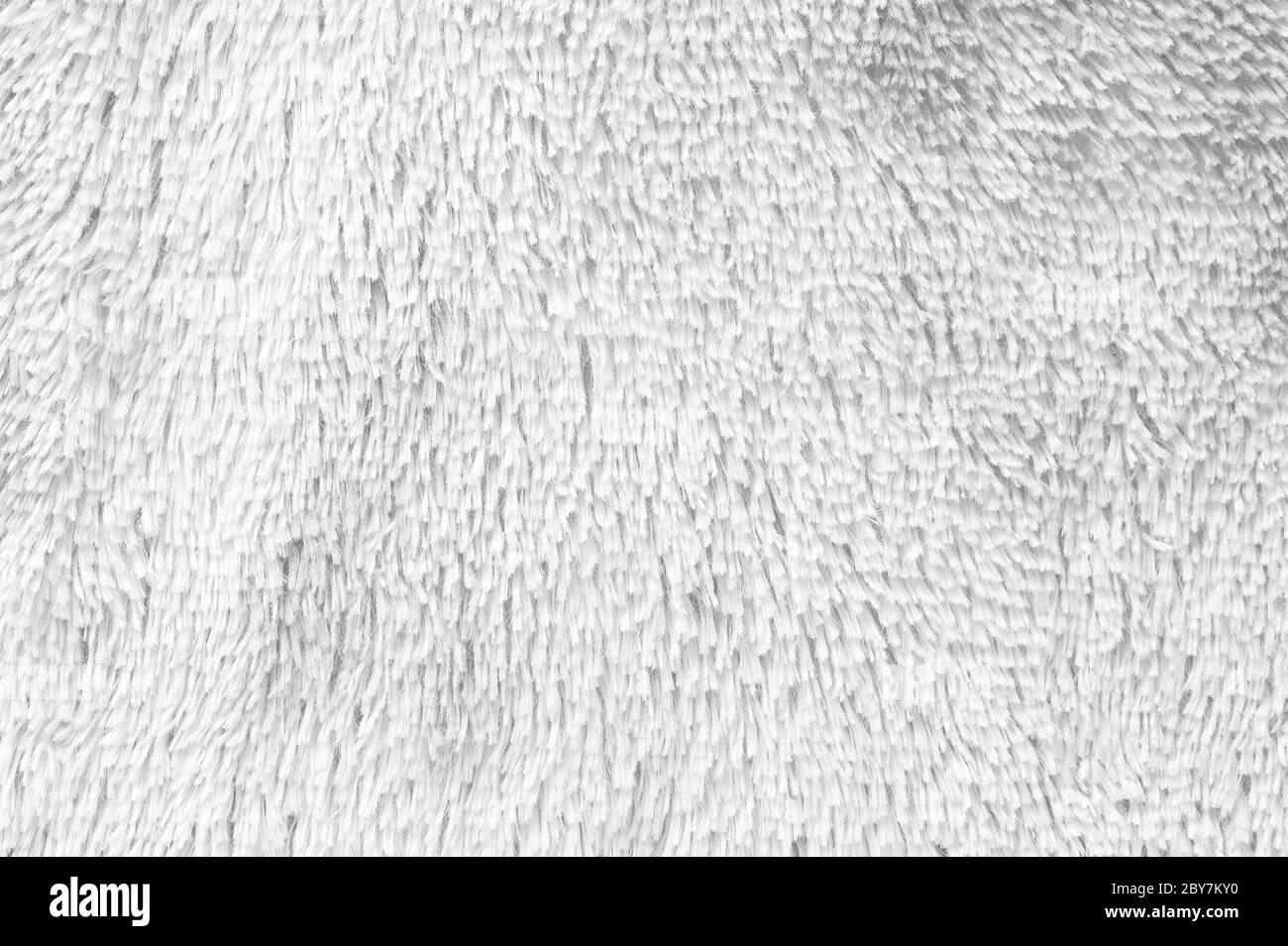 Dust Mites High Resolution Stock Photography and Images - Alamy