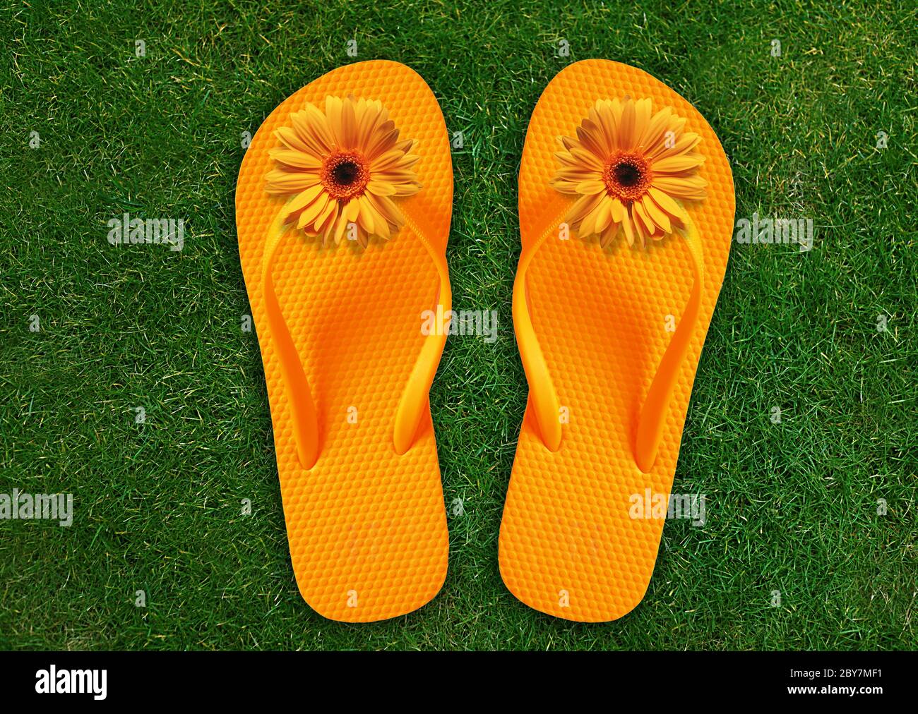 Colorful Flip Flops Stock Photo - Alamy