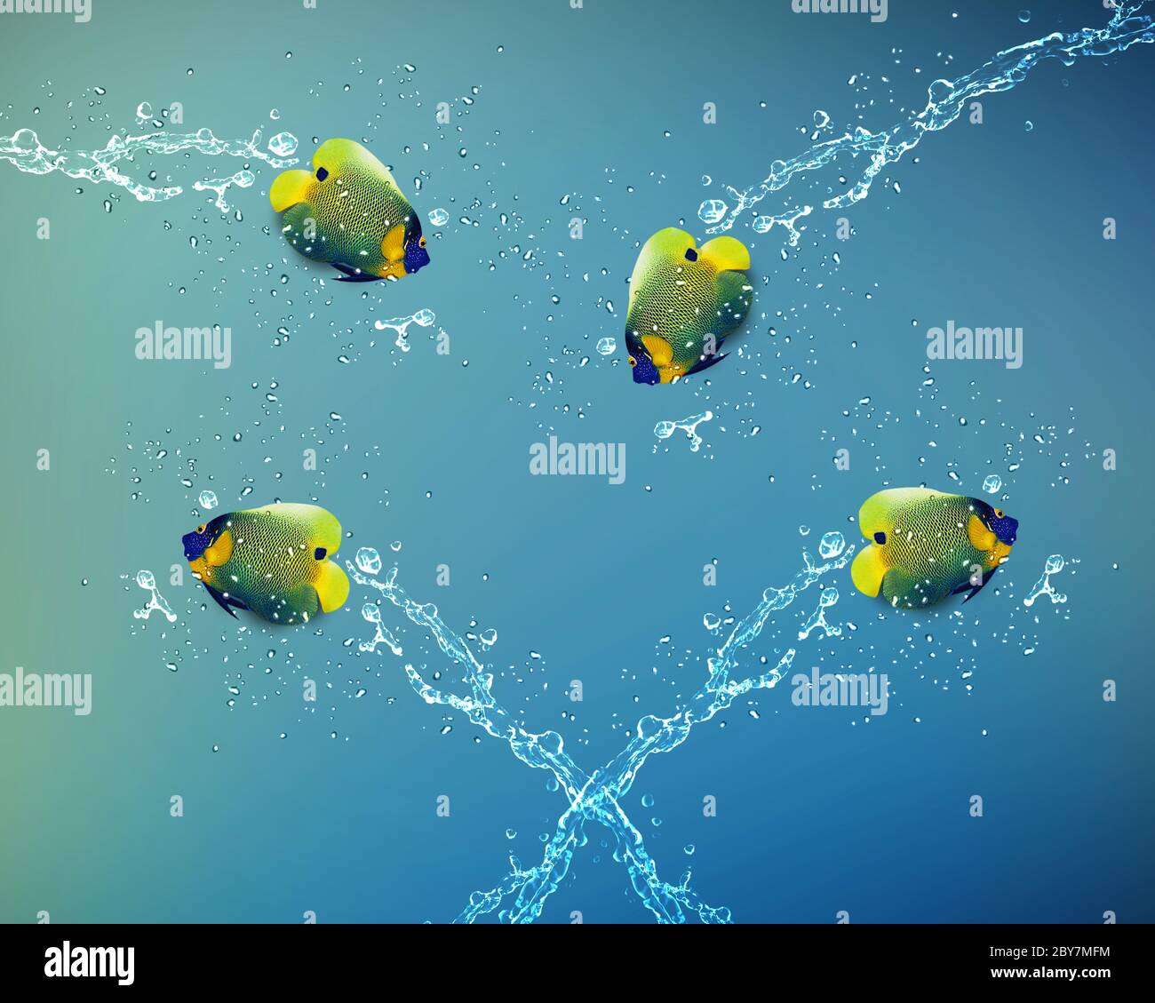 Gold fish jumping hi-res stock photography and images - Alamy