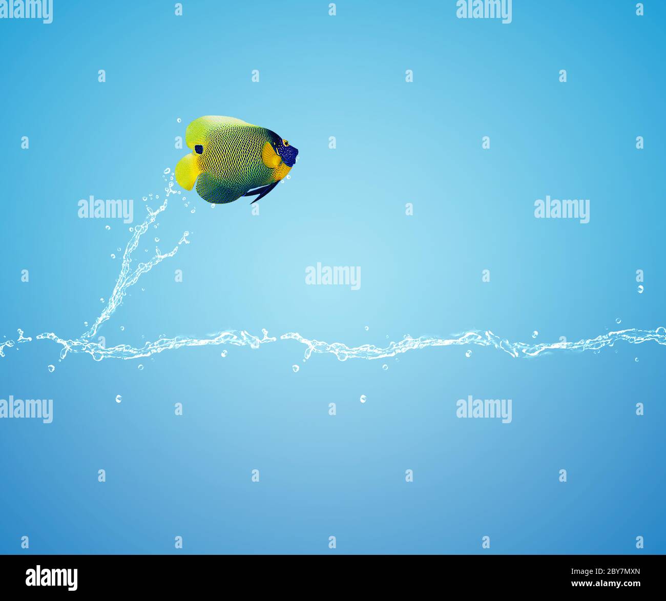 Gold fish jumping hi-res stock photography and images - Alamy