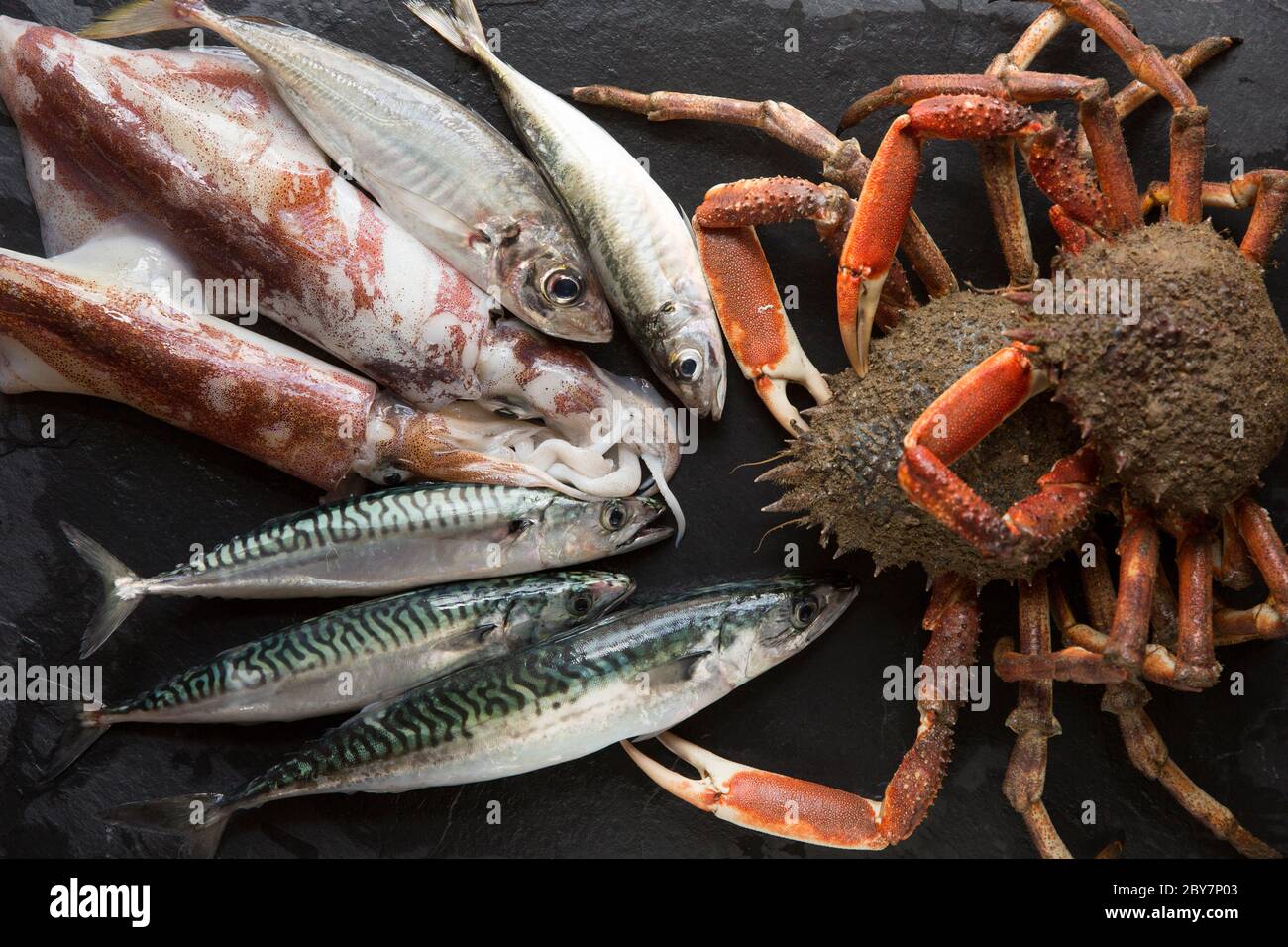 Cuttlefish Eating Crab