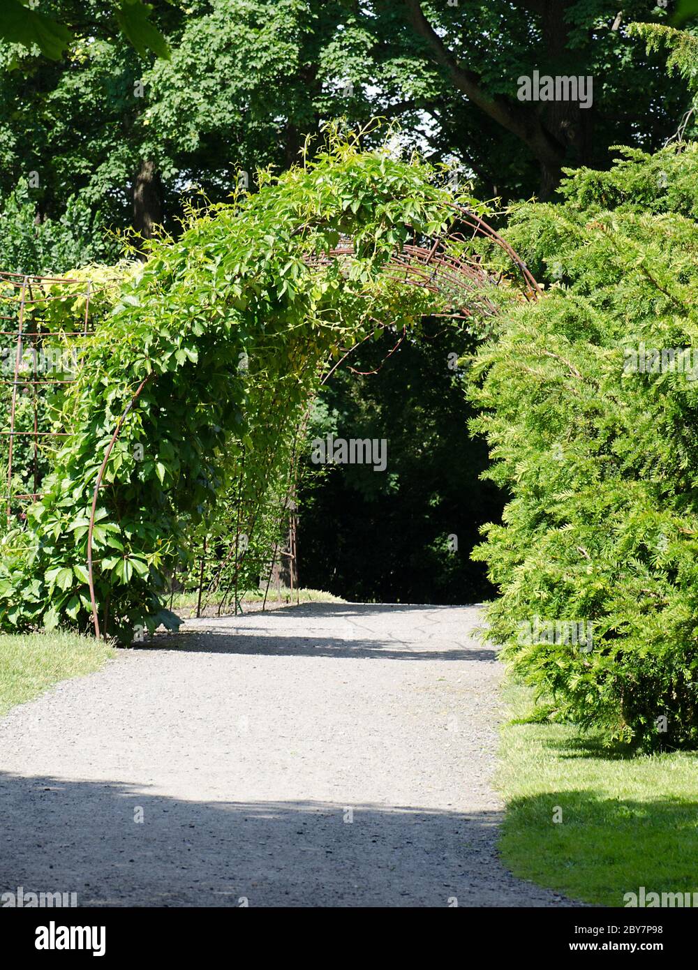 Arc pathway in garden Stock Photo - Alamy
