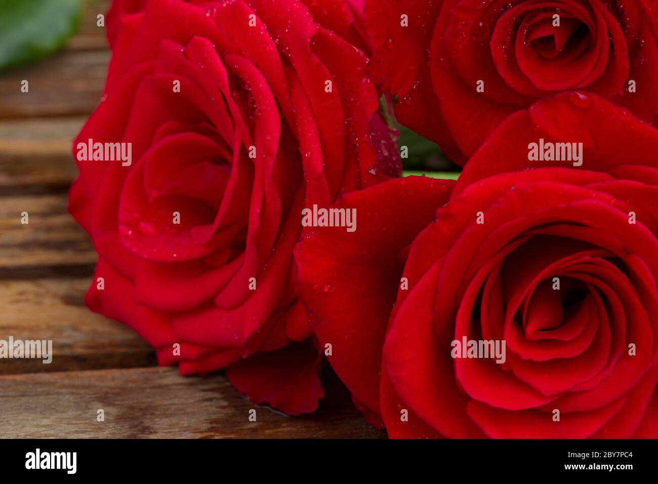 bouquet of red roses close up Stock Photo - Alamy