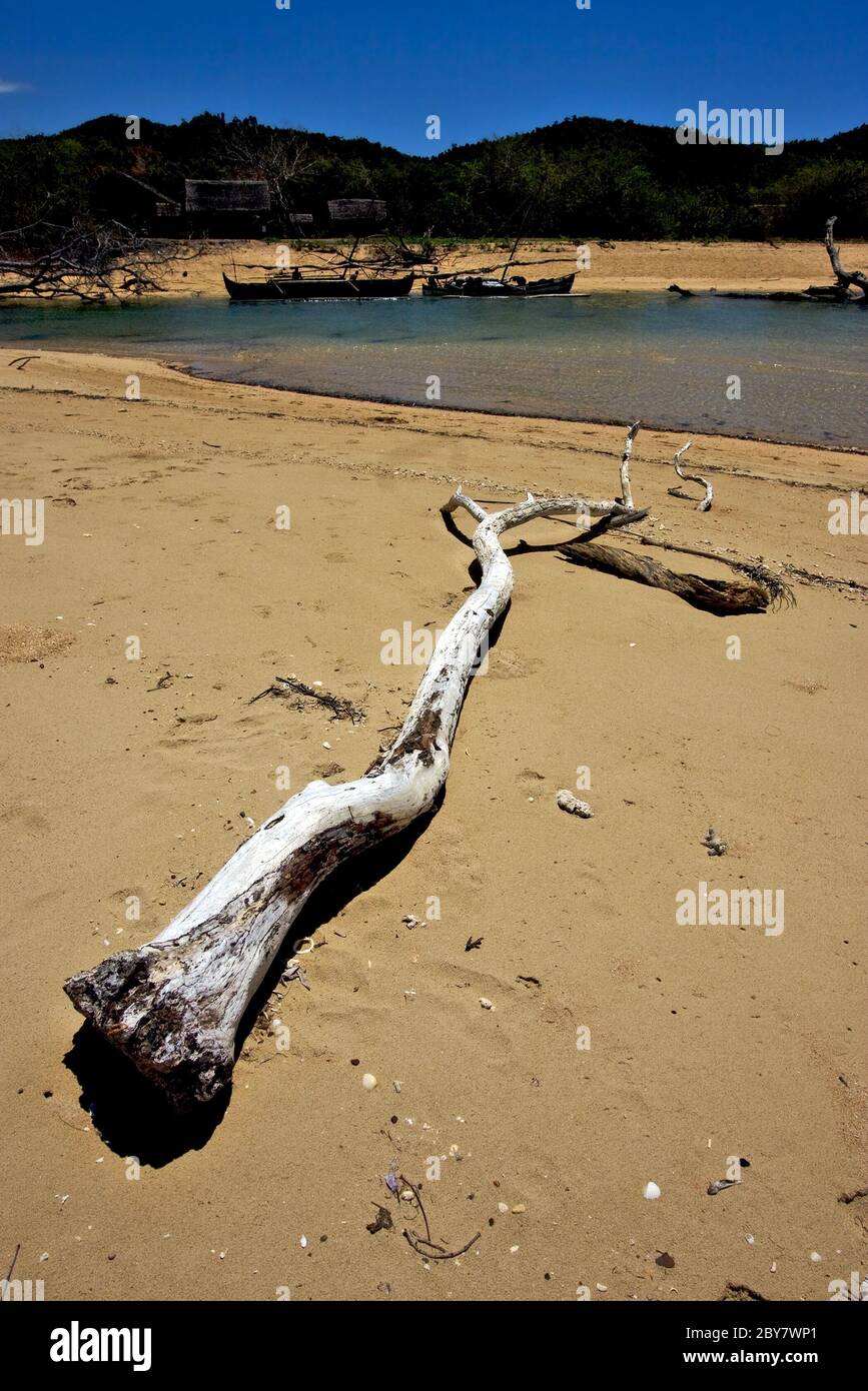 tree and boats Stock Photo - Alamy