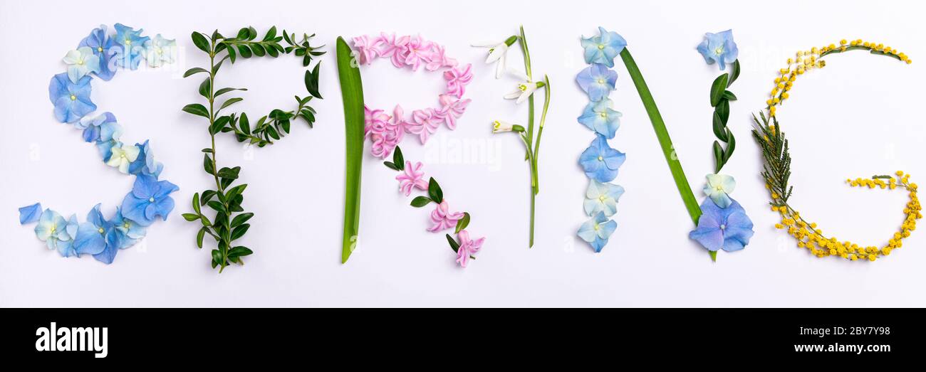 Word spring made of flowers and herbs on white background. Spring ...