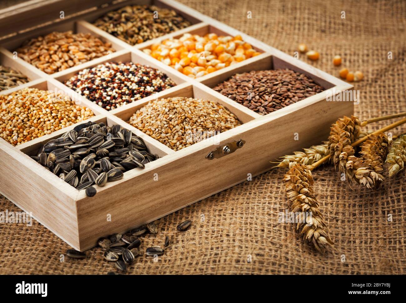 Nature's Gems. Variety of seeds and grains in wooden jewelery box Stock ...