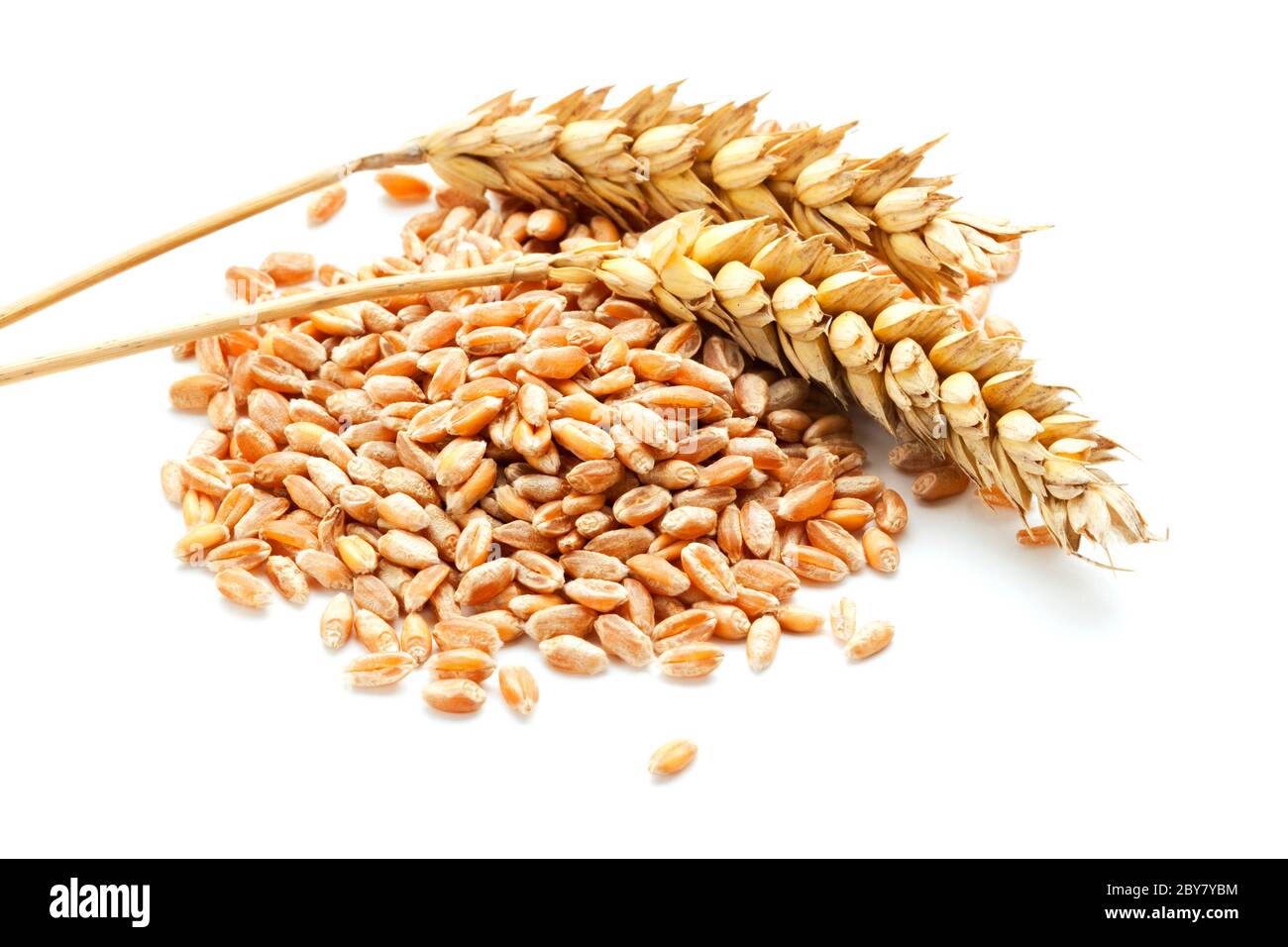 two wheat ears on a heap of grain, white background Stock Photo - Alamy