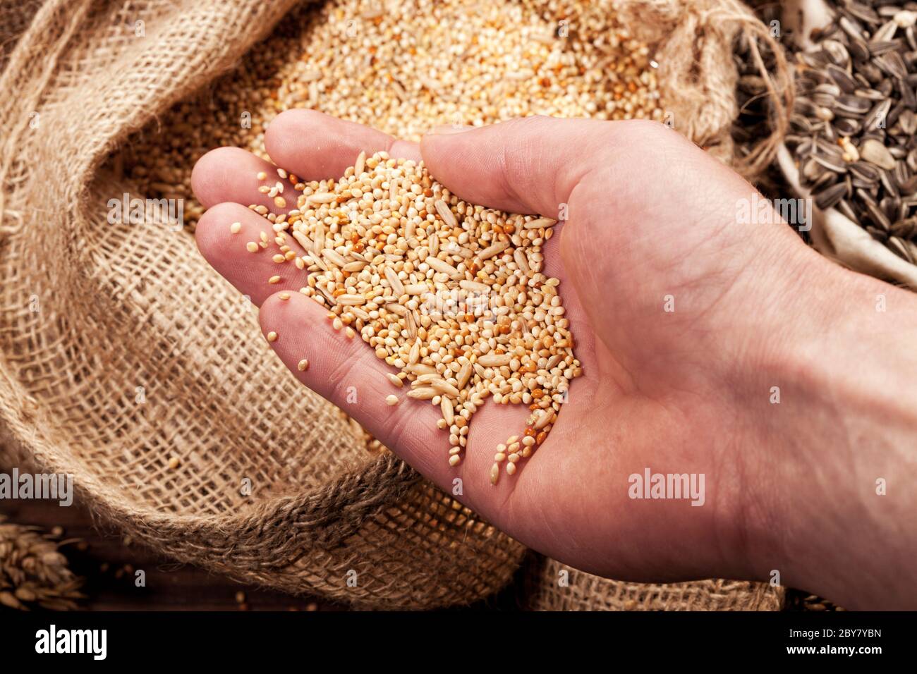 Millet seeds hi-res stock photography and images - Alamy