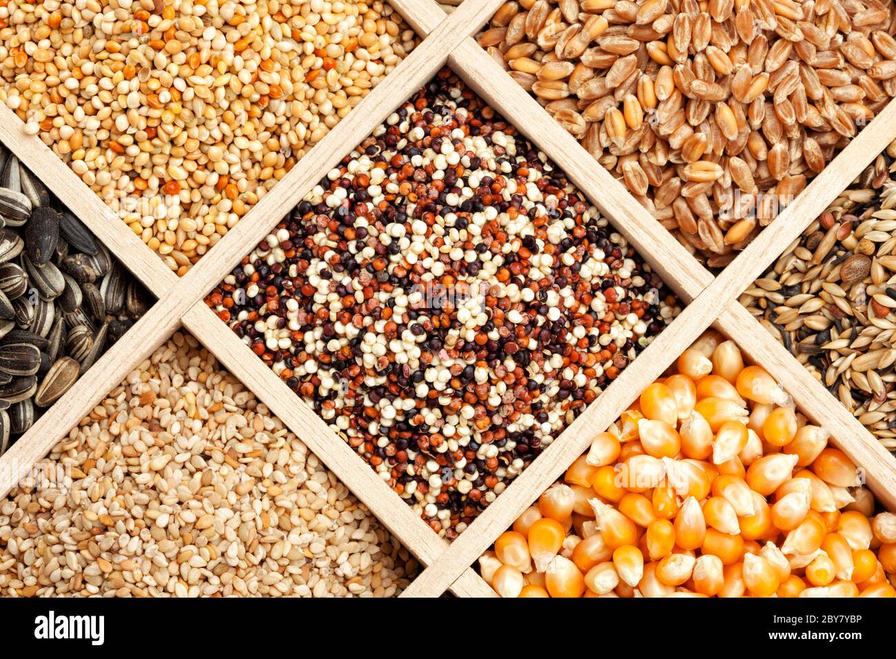 Selection Shadow High Resolution Stock Photography and Images - Alamy