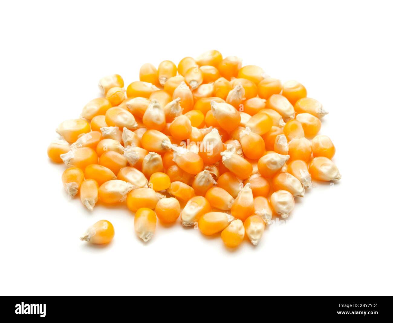 heap of corn grain isolated on white background Stock Photo - Alamy