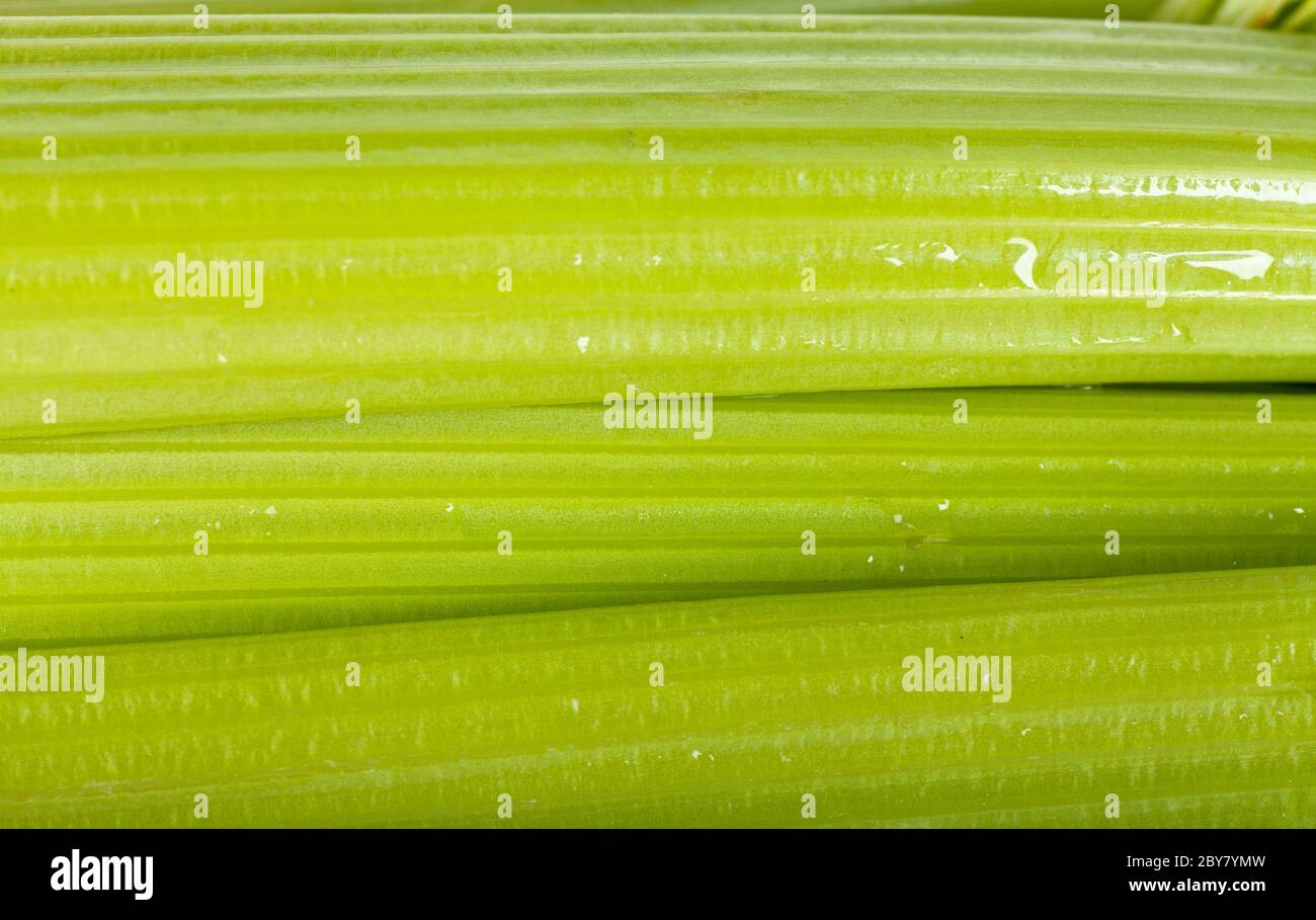 Single celery stalk hi-res stock photography and images - Alamy