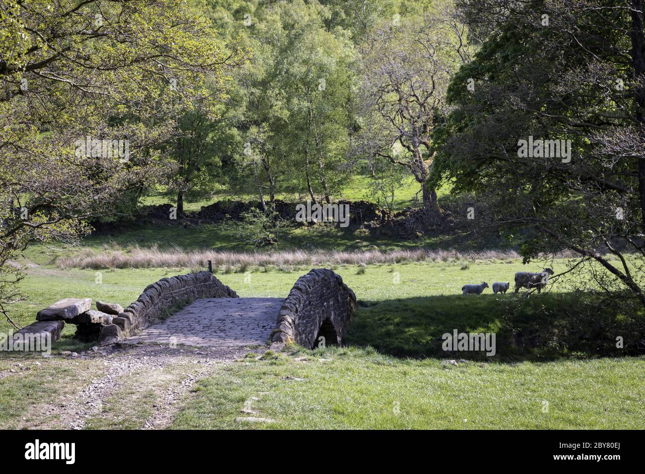 A clapper bridge, left, and a packhorse bridge in Newsholme Dean, near ...