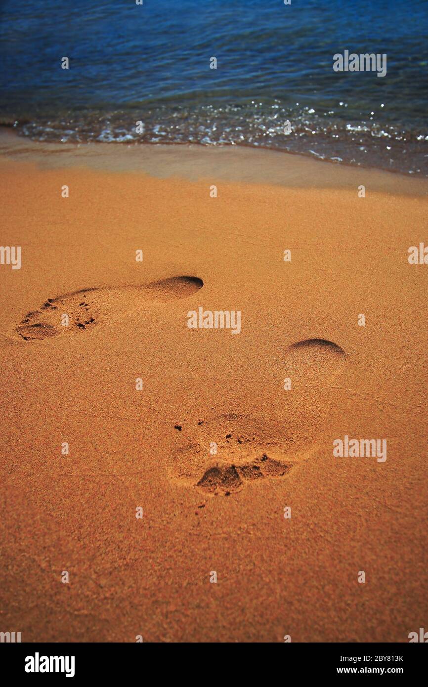 foot trace on desert sand Stock Photo - Alamy