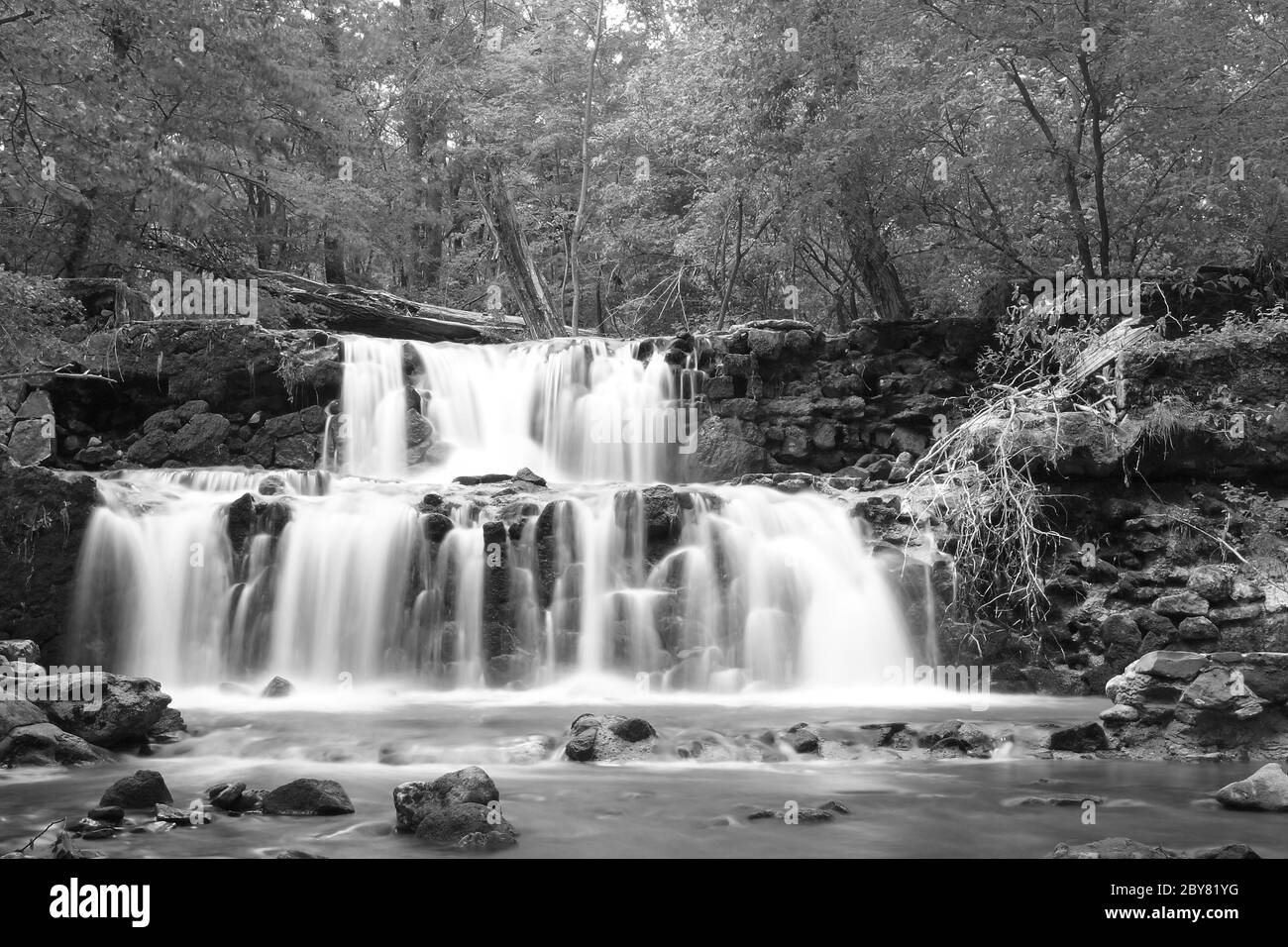 Lush forest river Black and White Stock Photos & Images - Alamy